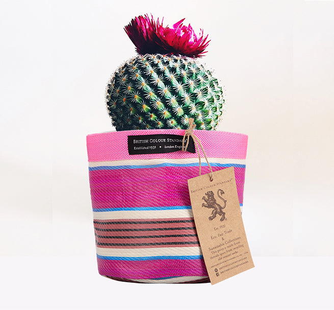 Small 14 cm - Eco Woven Plant Pot Cover in Neyron Pink, Pompadour & Pe